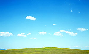 Alpine Air Living Purifiers by EnviroQuest International: Indoor Air ...